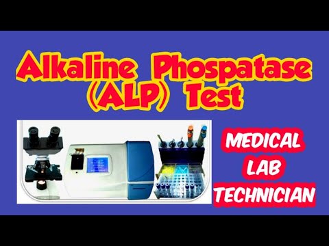 Alkaline Phosphatase Test | ALP Lab Test | ALP Test Procedure | What is ...