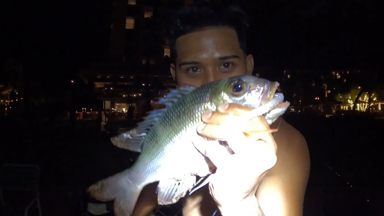 Finally Caught My First Mu !! | Hawaii Fishing - YouTube