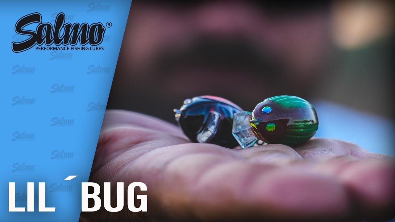 LIL´ BUG ***SALMO FISHING TV*** - YouTube