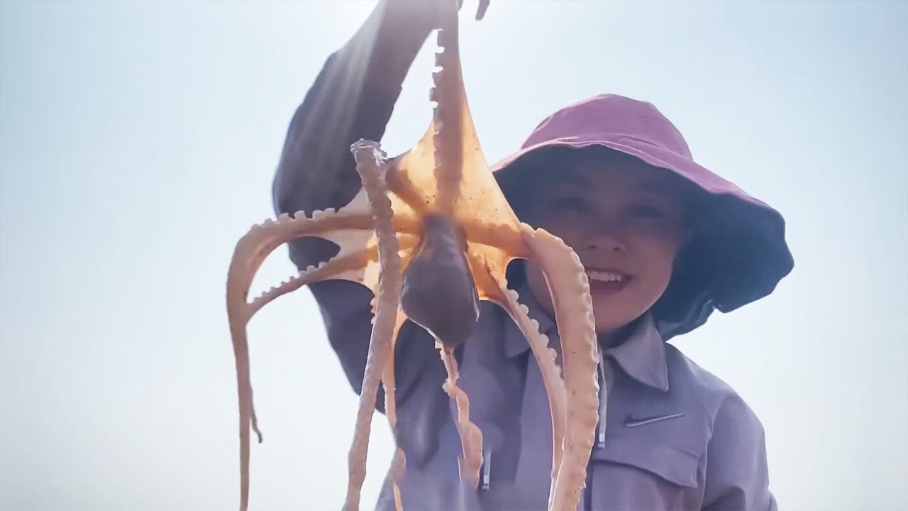 Red-shelled turtles are crawling everywhere, and there are many octopuses - YouTube