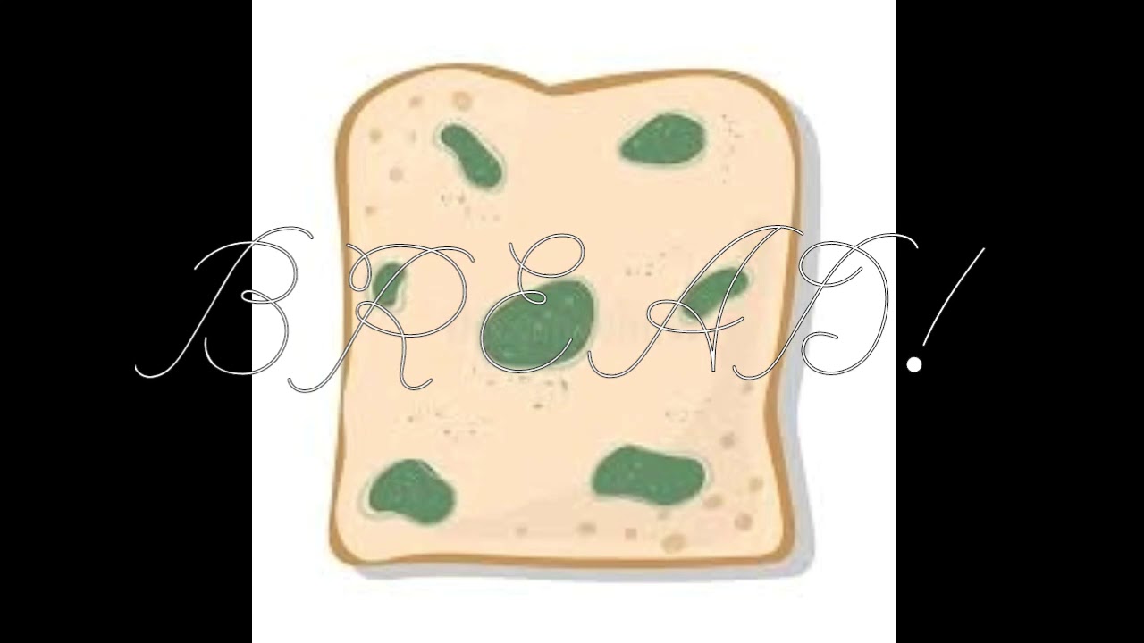 lil poopoo - "BREAD!" - YouTube