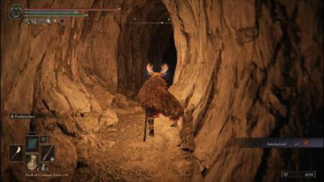 ELDEN RING Mountaintop Spiritcaller Cave Arteria Leaf x5 White Reed ...