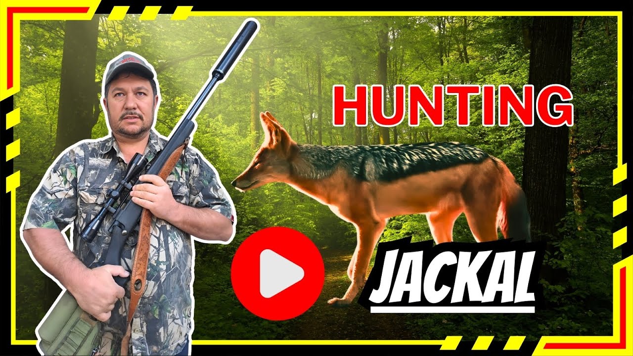 Jackal Hunting - Northern Cape, South Africa - YouTube