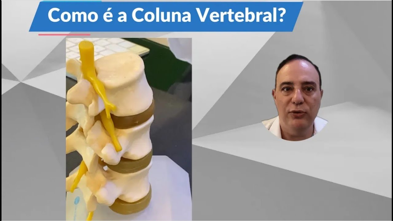 Anatomia da Coluna - YouTube