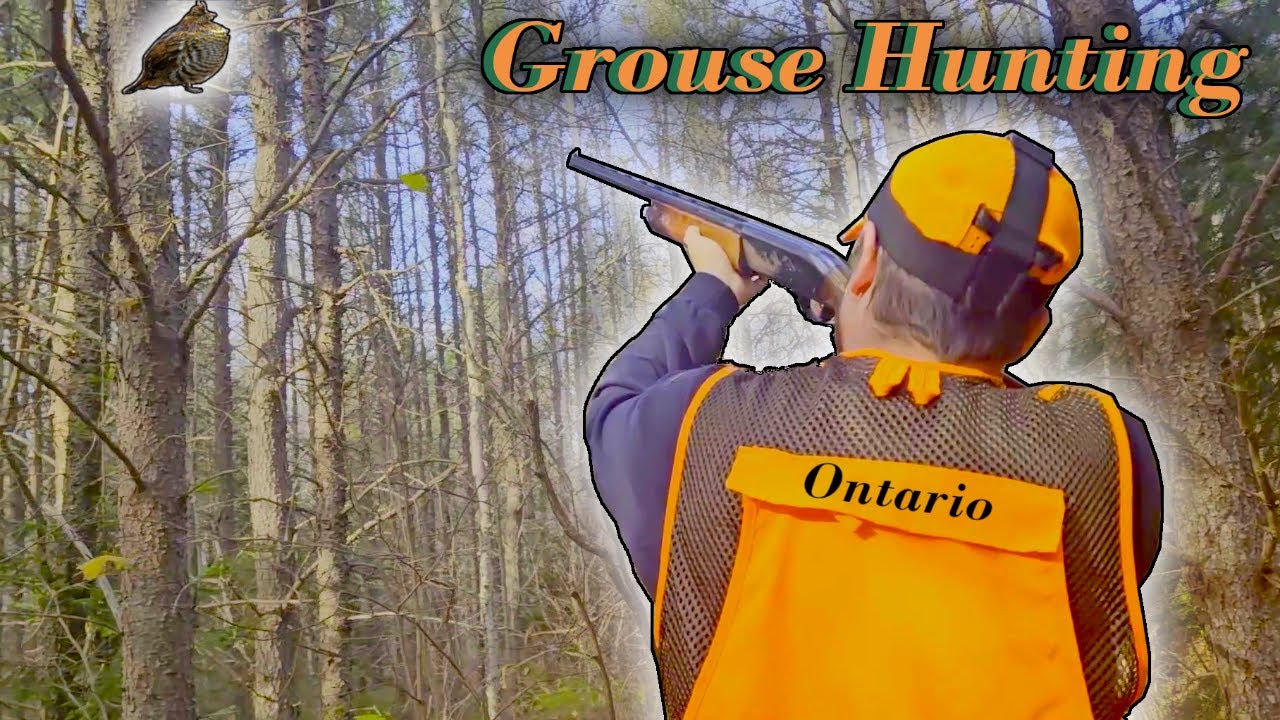 Timmins Ontario Grouse Hunting in October - YouTube
