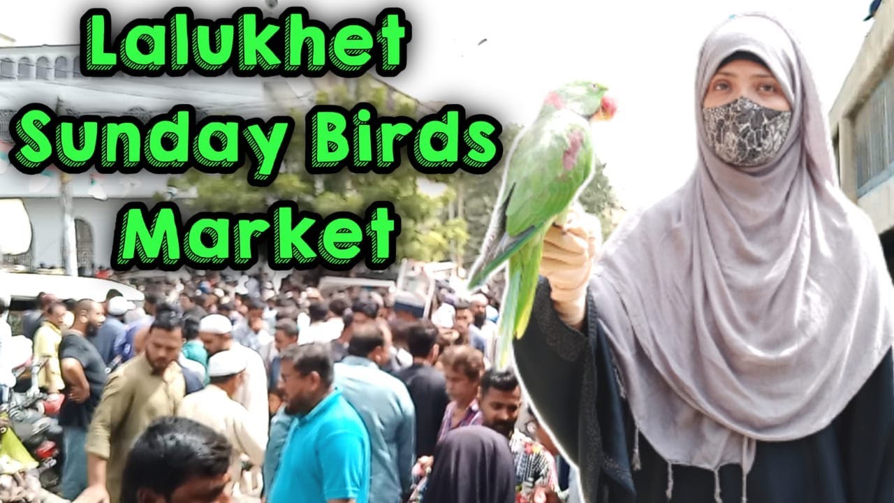 Lalukhet Sunday Birds Market | 28-08-2022 | StrongAsma - YouTube
