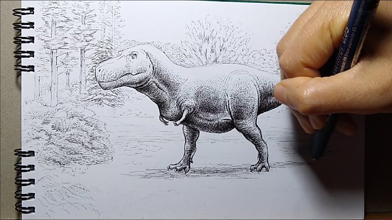 Tyrannosaurus rex - Fineliner pen sketching process - YouTube