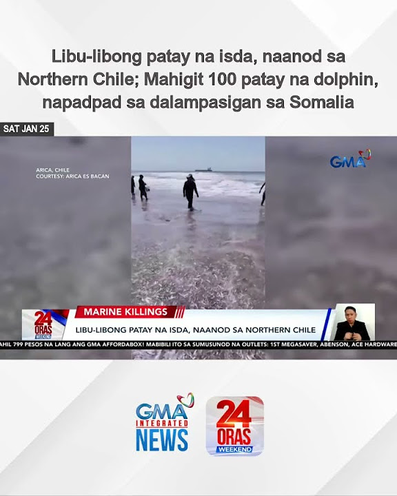 Libu-libong patay na isda, naanod sa Northern Chile; Mahigit 100 patay na... | 24 Oras Weekend ...