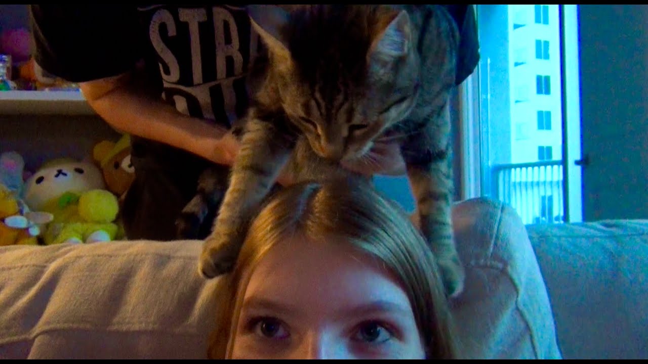 the reunion (catlanta part 1) - YouTube