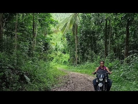 ANG AKING LUPANG SINILANGAN PISO NALANG PAMASAHE PAPUNTANG LANGIT || ailyn samorin - YouTube