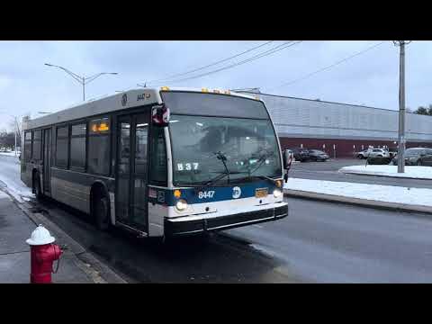 MTA New York City Bus: 2015 Nova Bus LFS #8447 On The Q85 Leaving Green Acres Mall - YouTube