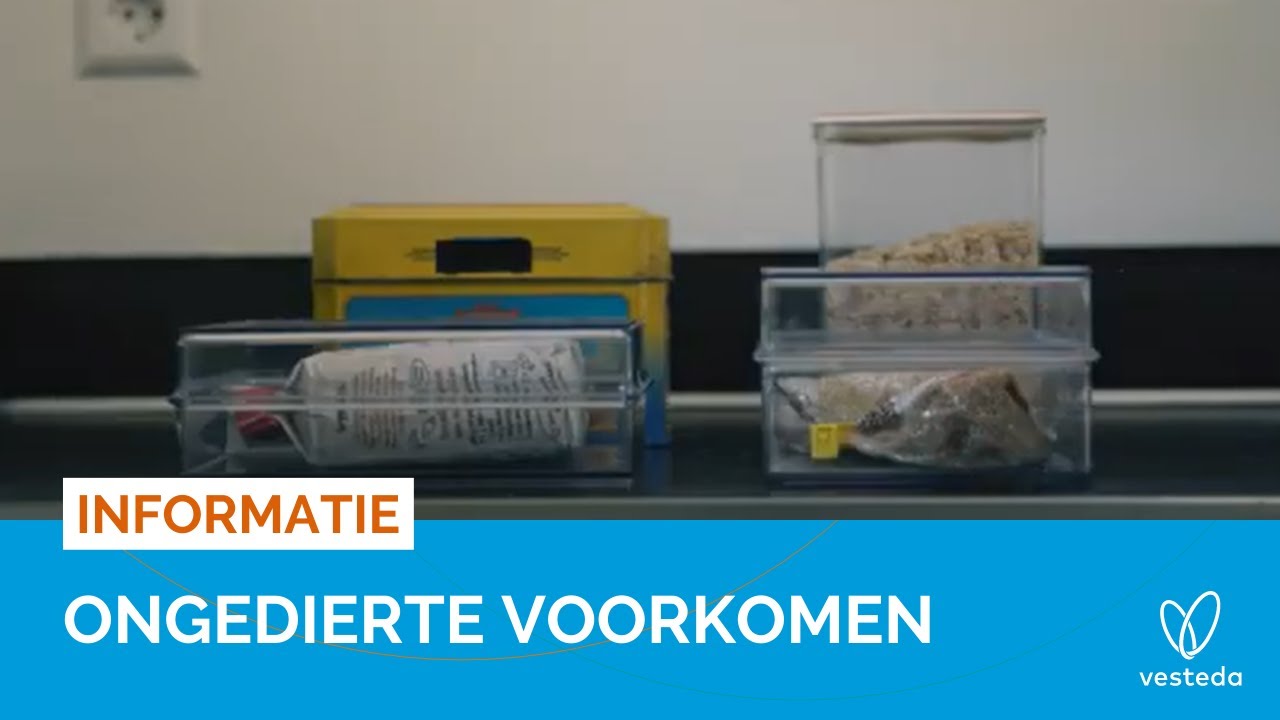 ONGEDIERTE VOORKOMEN - INFORMATIEVIDEO - YouTube