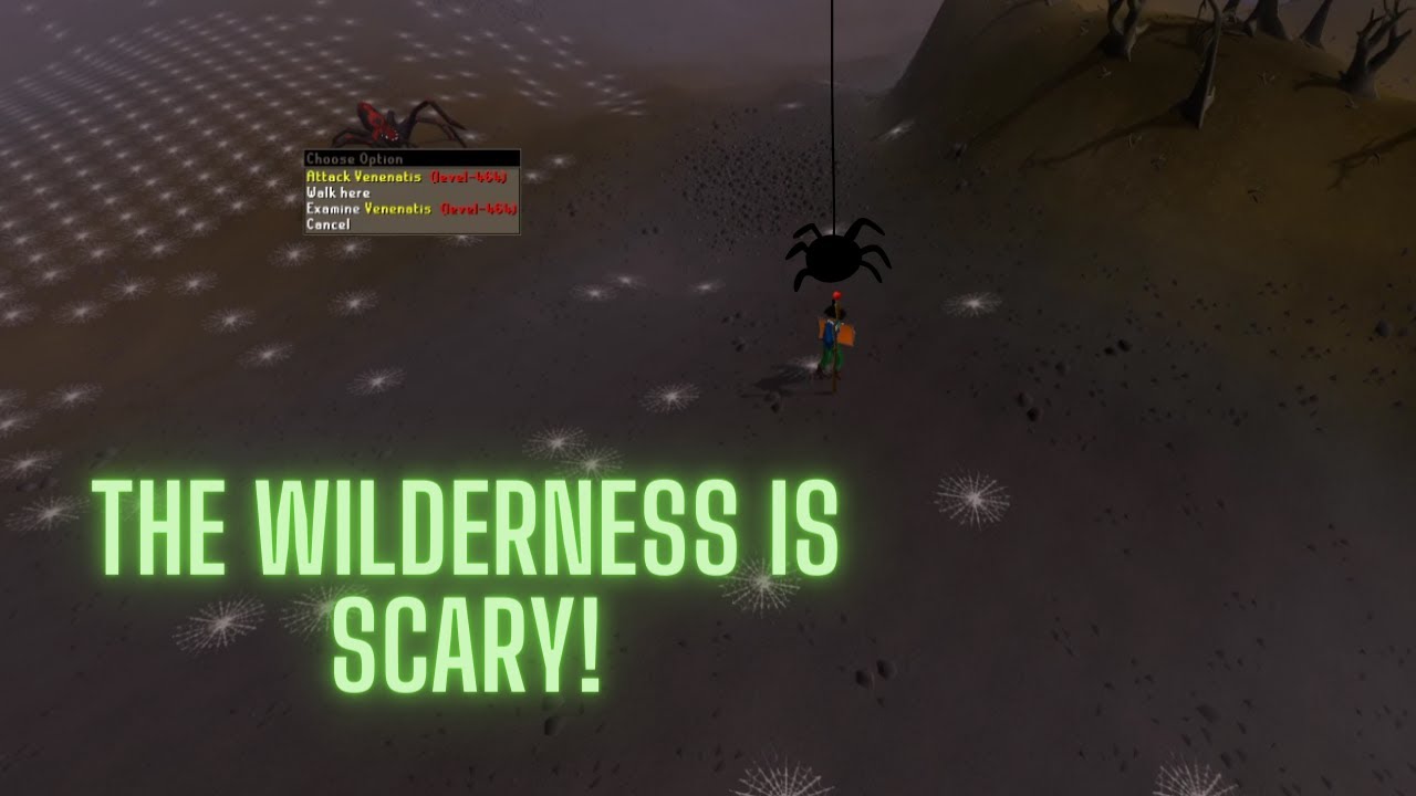 Wilderness First Look | OSRS in HD #17 - YouTube