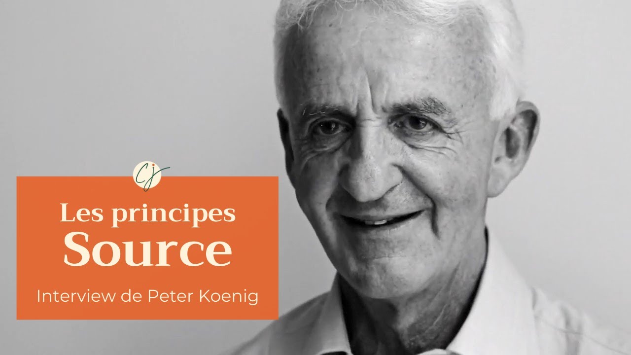 Les principes Sources. Interview de Peter Koenig. - YouTube