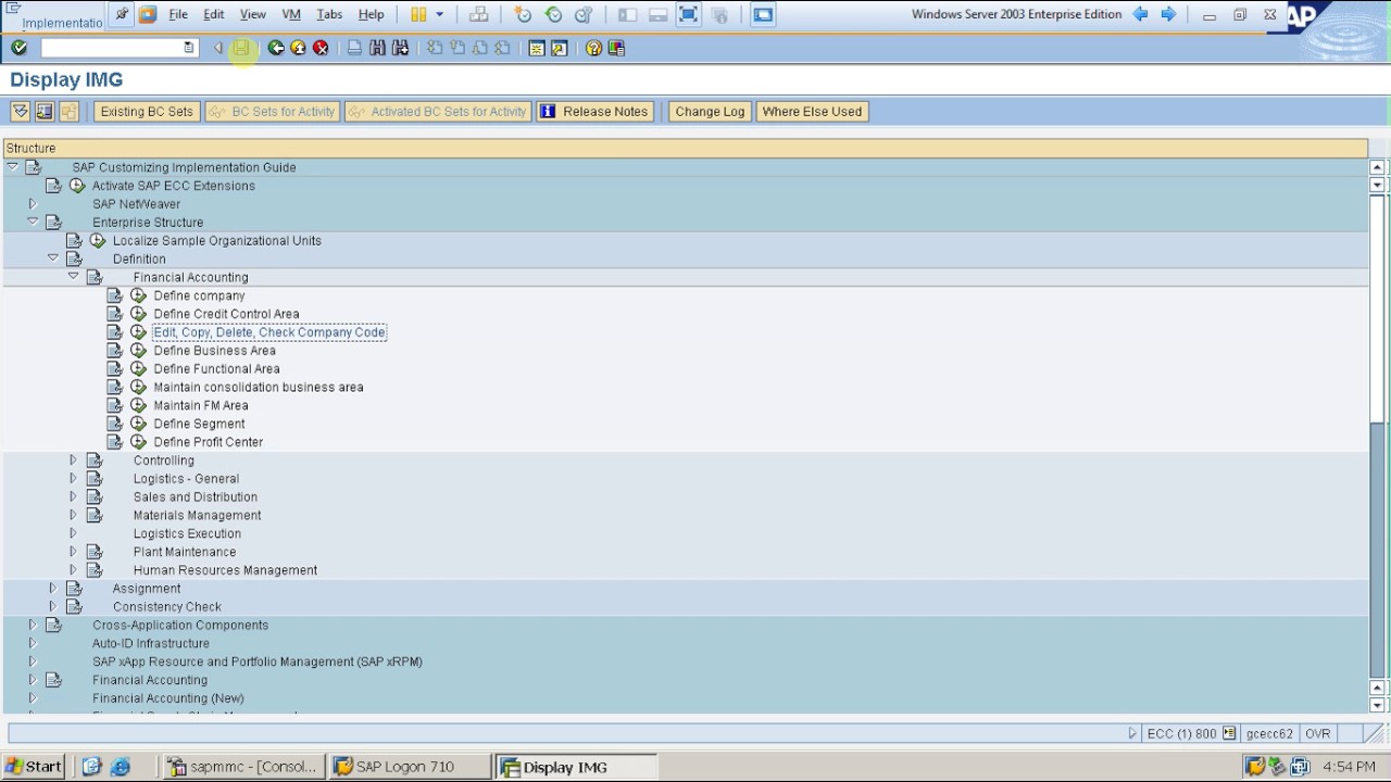 SAP FICO starting step 1 basic setting - YouTube