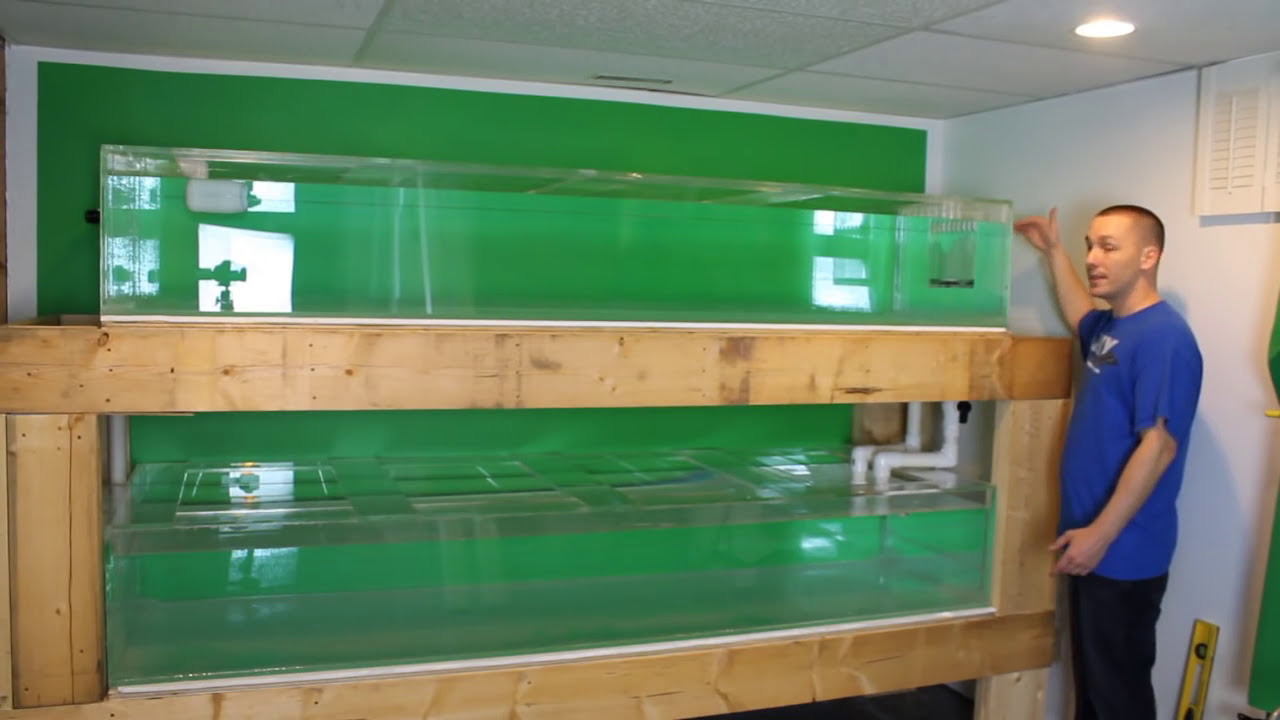 MONSTER AQUARIUM setup - YouTube