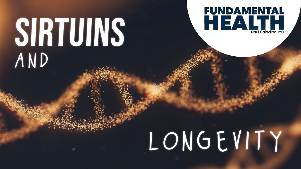 Sirtuins and longevity - YouTube