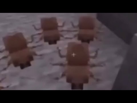 If you give a cockroach a maraca - YouTube