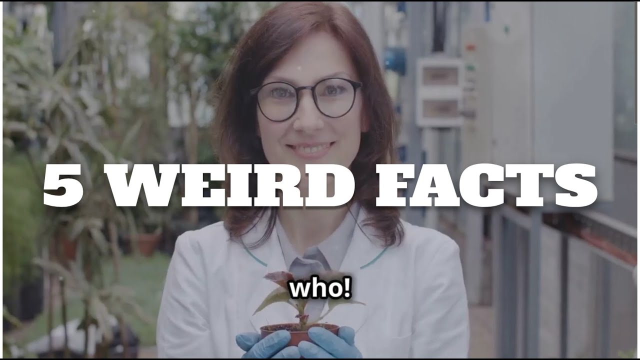 5 Weird Facts You Won't Believe! - YouTube