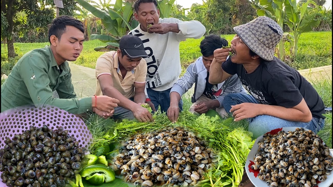 Yummy Cooking Small Snail with Vege Food Recipe - YouTube