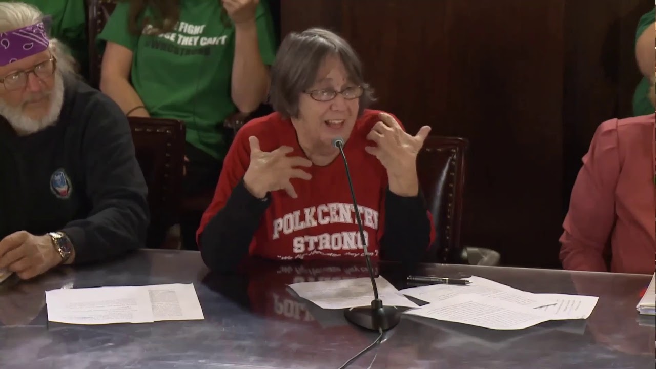 Irene McCabe President of Polk Center Friends and Families - YouTube