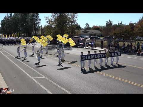 Diamond Bar HS - The Boys of the Old Brigade - 2019 Riverside King Band Review