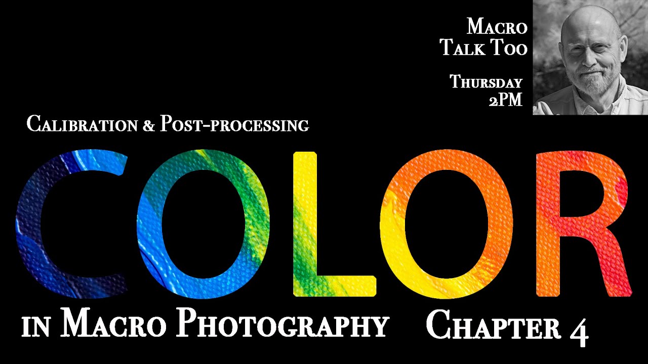 Color in Macro Chapter 4 - Macro Talk Too #123 - 12/19/24 - YouTube