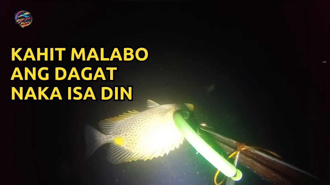 NIGHT DIVE / NAKA ISANG SAMARAL KAHIT MALABO ANG DAGAT - YouTube