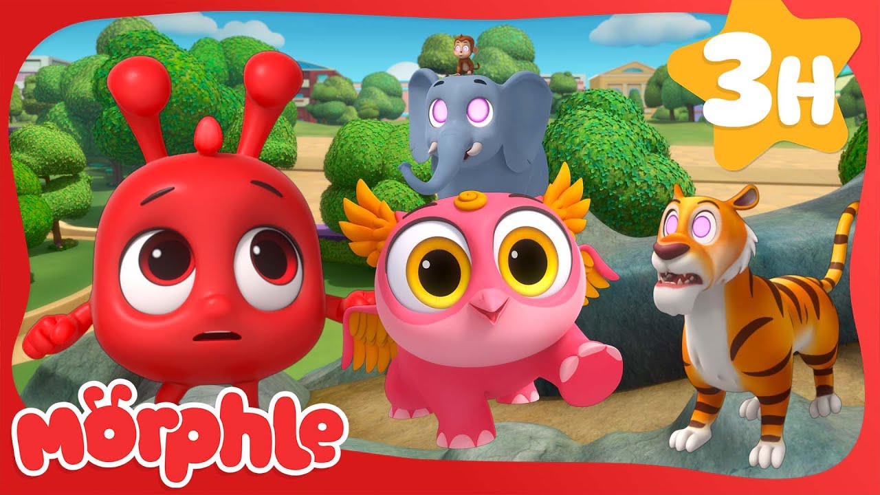 Avoid the Hypnotizing Owl! | Morphle's Animal Cartoon | Fun Videos for ...