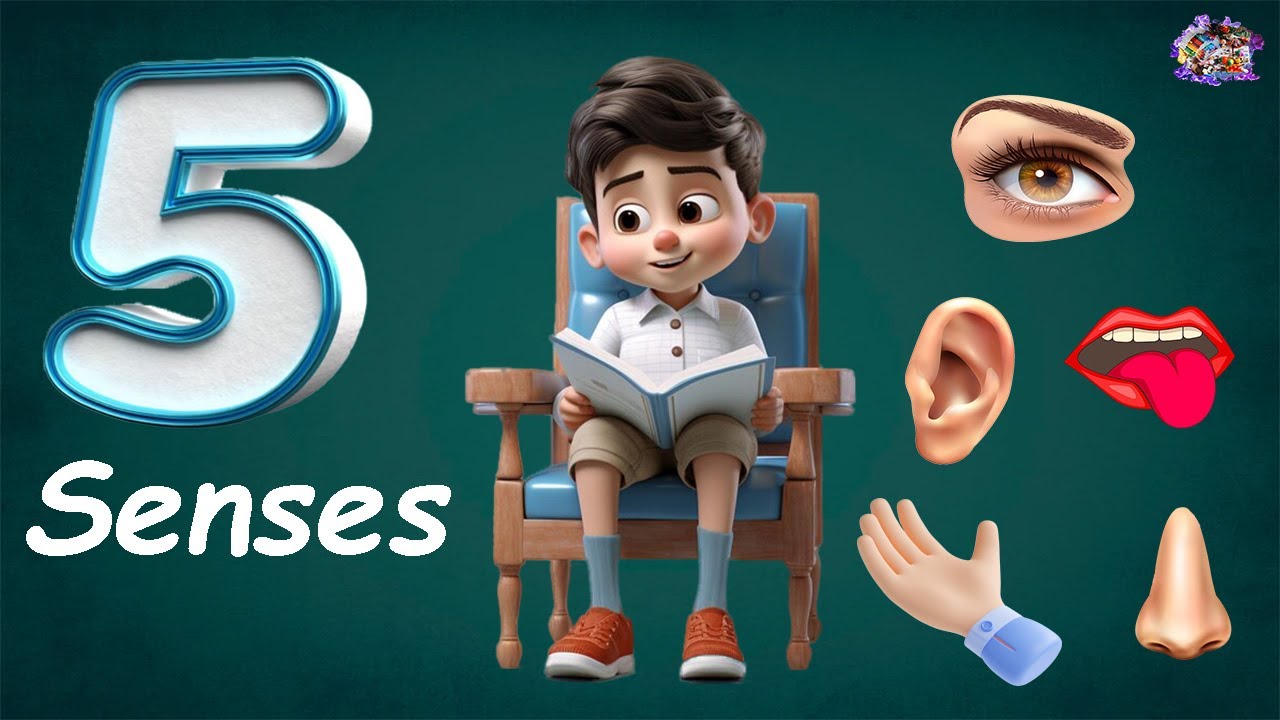 The Five Senses for Kids | Preschool Education | Senses for Kids - YouTube