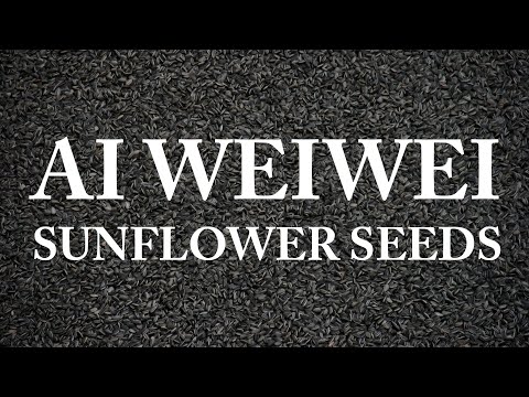 "Sunflower Seeds" by Ai Weiwei - An In-Depth Artwork Analysis