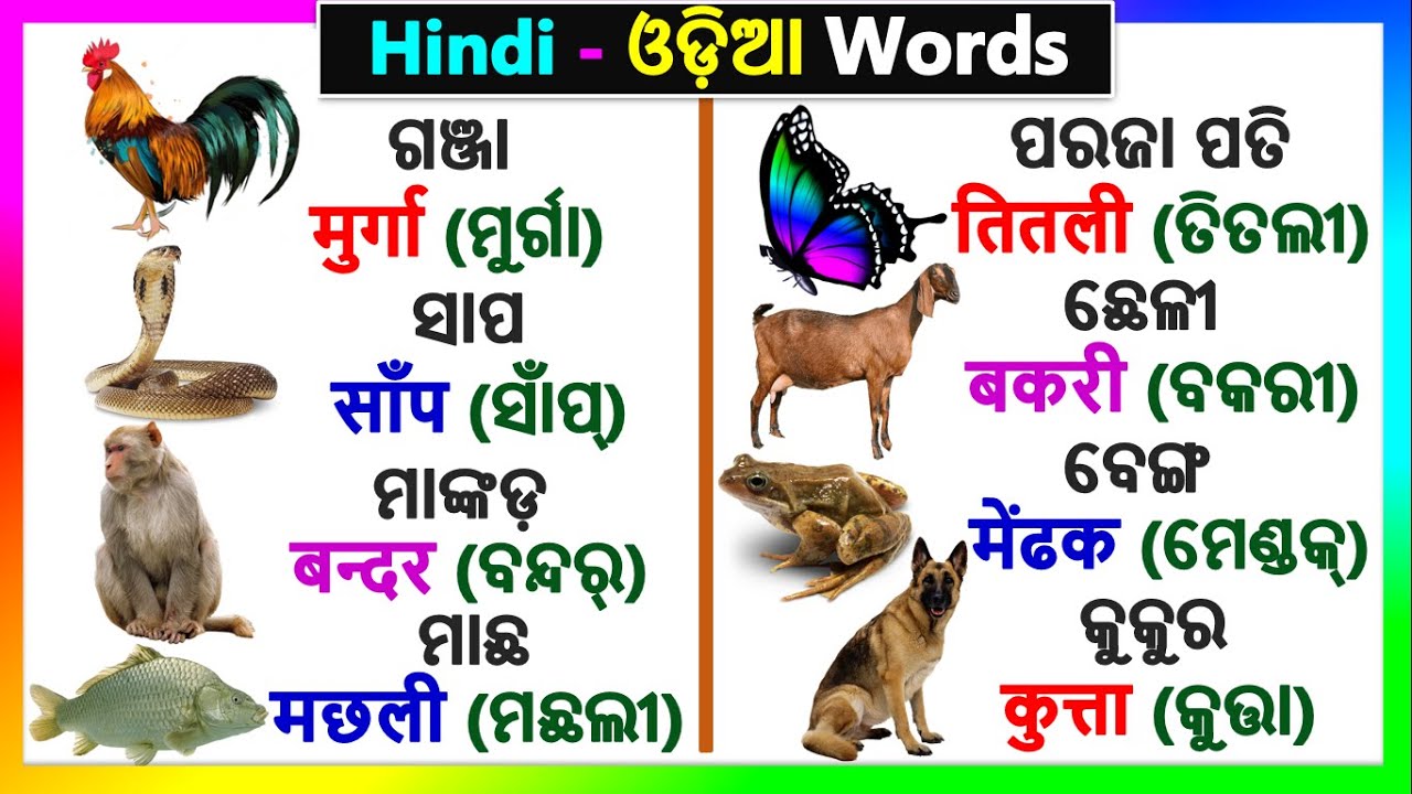 ଓଡ଼ିଆ - हिन्दी sikhya | Speaking Hindi in Odia language | Hindi Odia ...