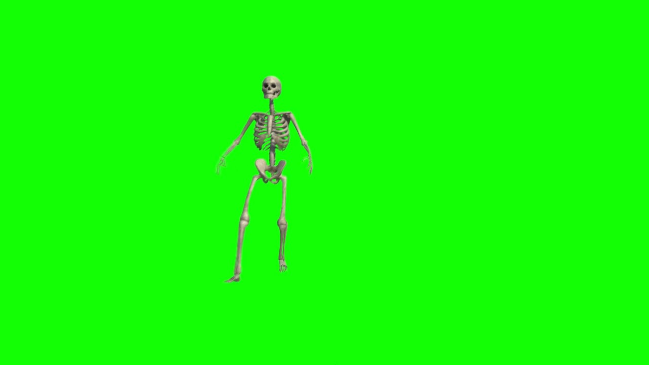 Top Green Screen Free Pack Skeleton Winning Poses - YouTube