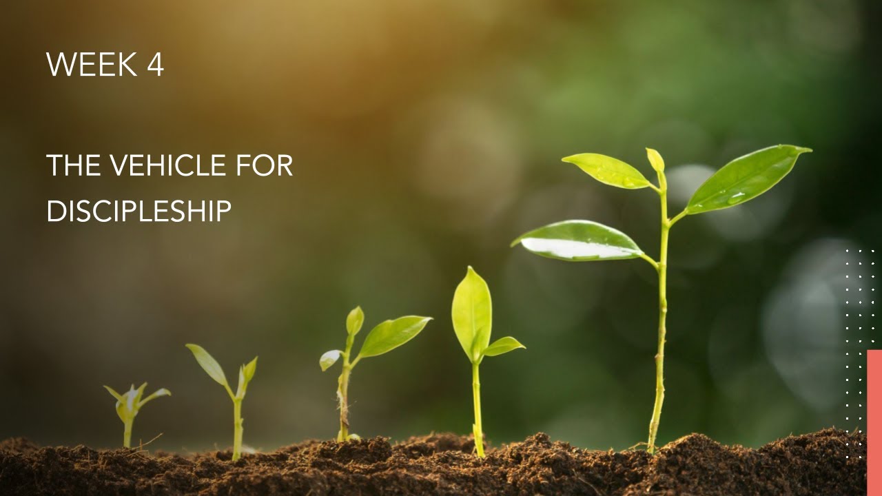 Real Life Discipleship Week 4 - YouTube