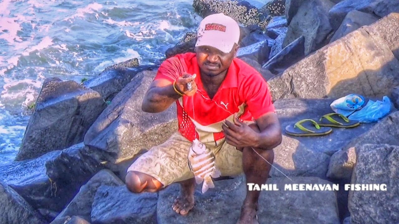 Best Amazing Hook Fishing! Catching Black snapper fish from tha ...