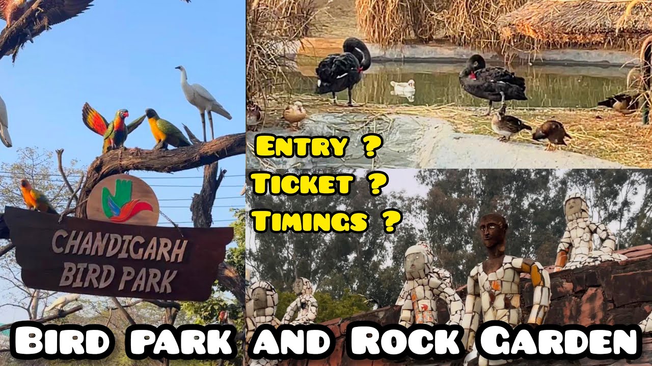 Rock Garden and Bird Park Chandigarh | Famous Places in Chandigarh ...