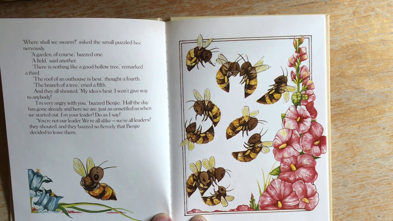 The Story of Benjamin Bee read by Mrs Bavington - YouTube
