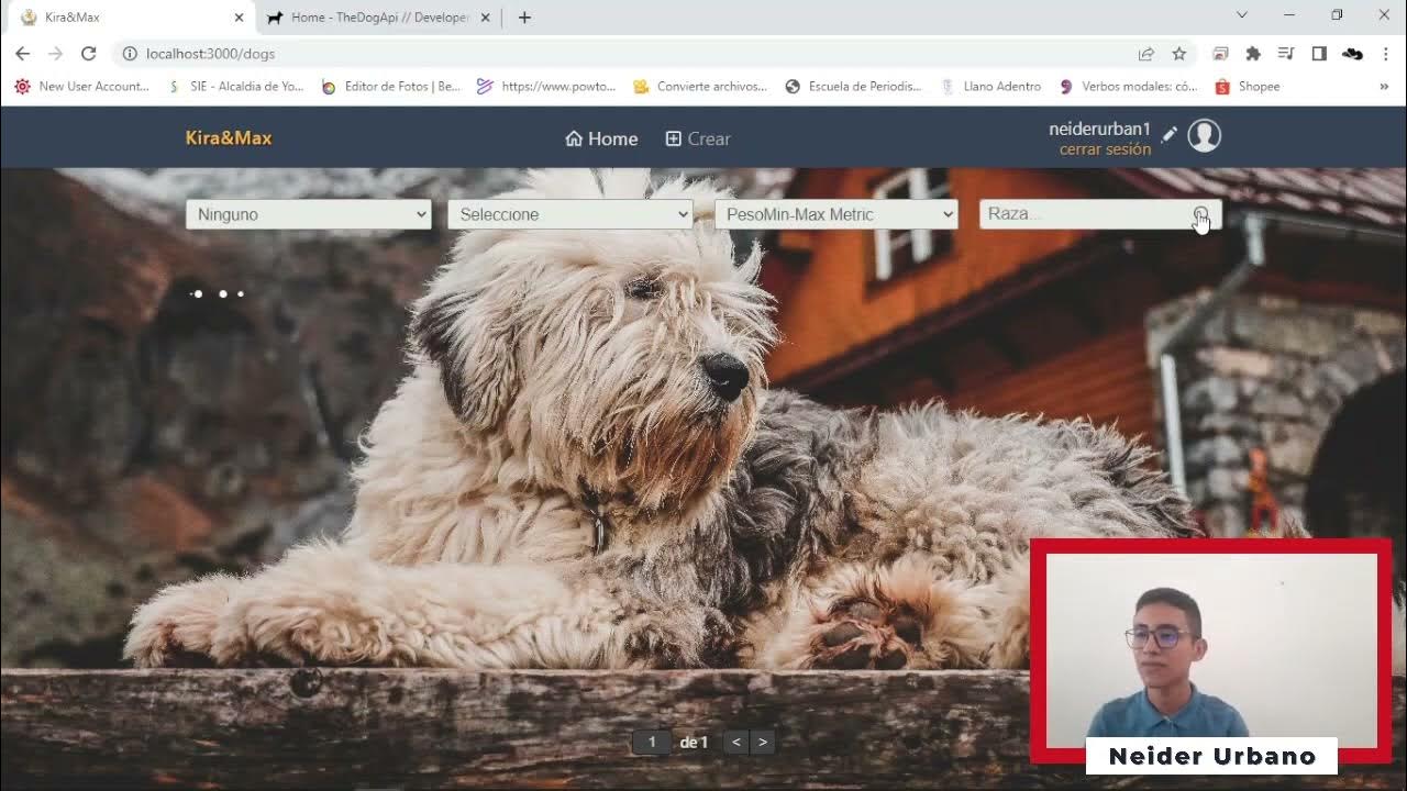 Kiraandmax Proyecto En React Redux Node Postgresql Sequelize Youtube