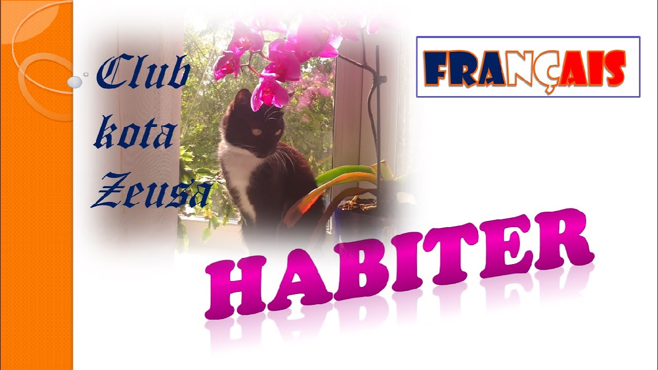 HABITER Fran ais Verbes habiter-fran-ais-verbes