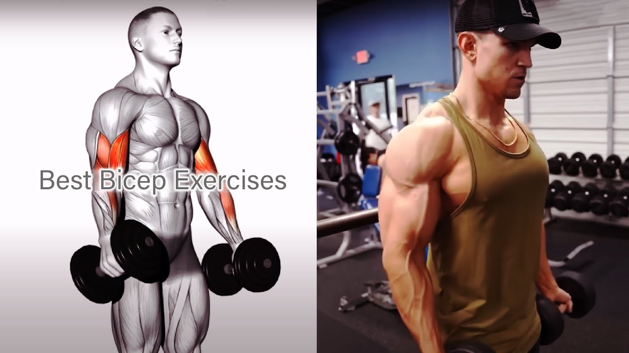 6 Perfect Biceps Exercises Gym Body Motivation #gymbodymotivation # ...