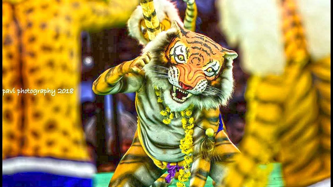 PILI NALIKE WINNERS | POLALI TIGERS | TIGERDANCE MANGALORE | - YouTube