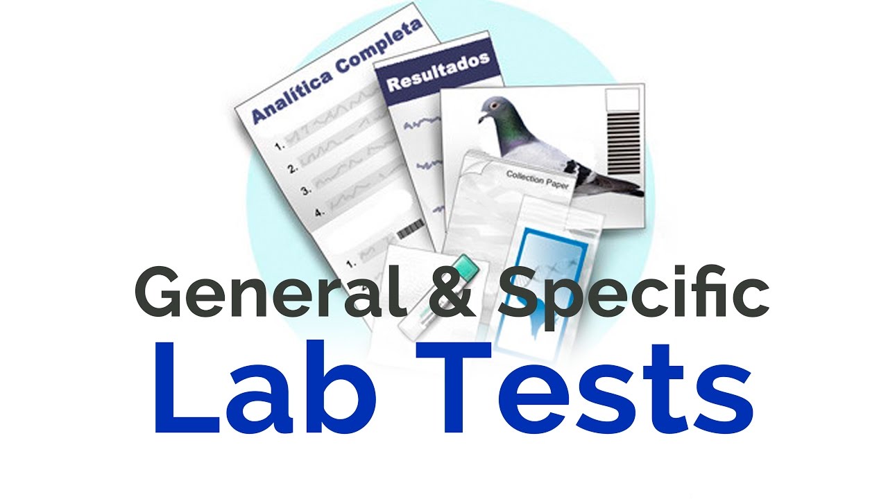 How to prepare the samples? General and Specific Lab Test. Mercasystems ...