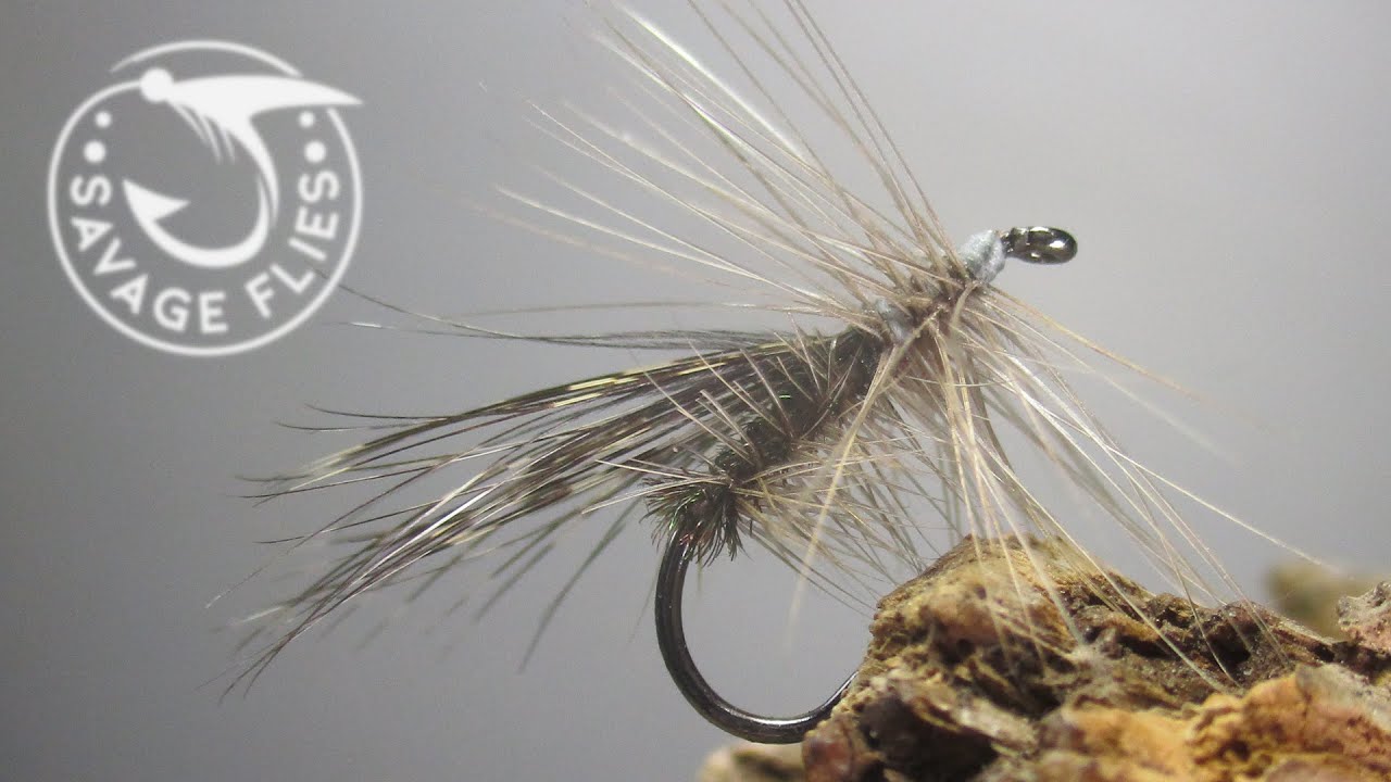 An easy beginner caddis dry fly (the CDL Peacock Caddis) - YouTube