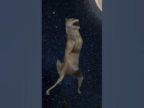 Волк 🐺 танцует под ихвильнихт - YouTube