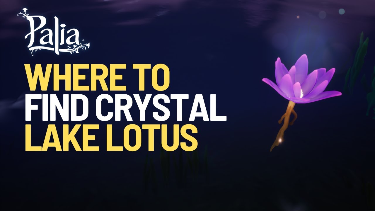 Where to Find the Crystal Lake Lotus in Palia - YouTube