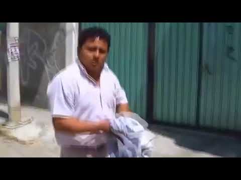 Dimelo puto dimelo perro - YouTube