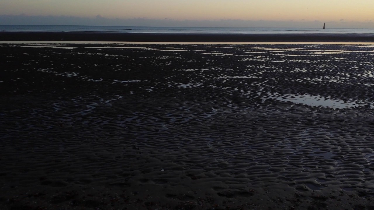 10) Sand- Shell Boundary | Camber Sand Beach | East Sussex - YouTube