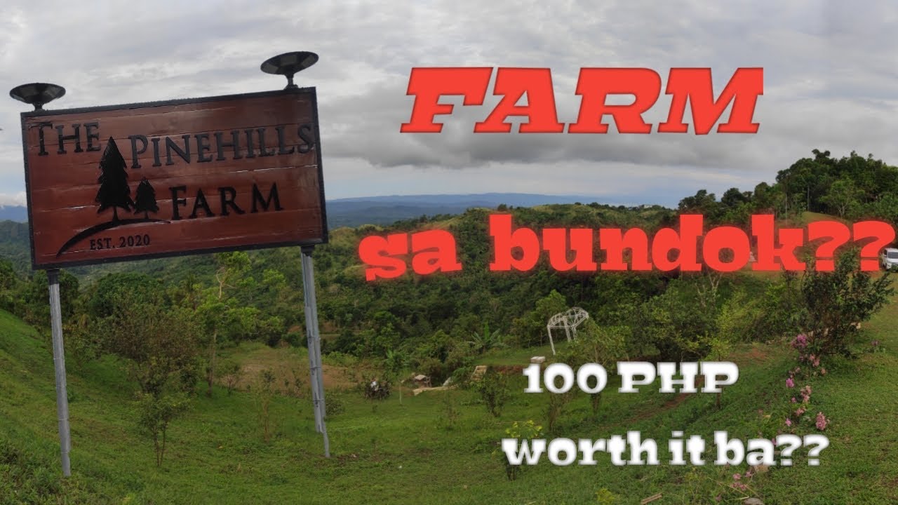 Breathtaking view of the farm| Pine Hills Farm at Tanay a place to ...