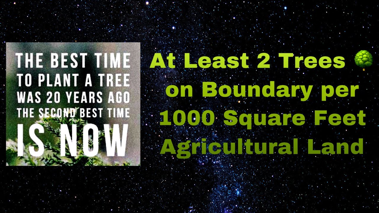 At Least 20 Trees on Boundary per Ten Thousand Square Feet of ...