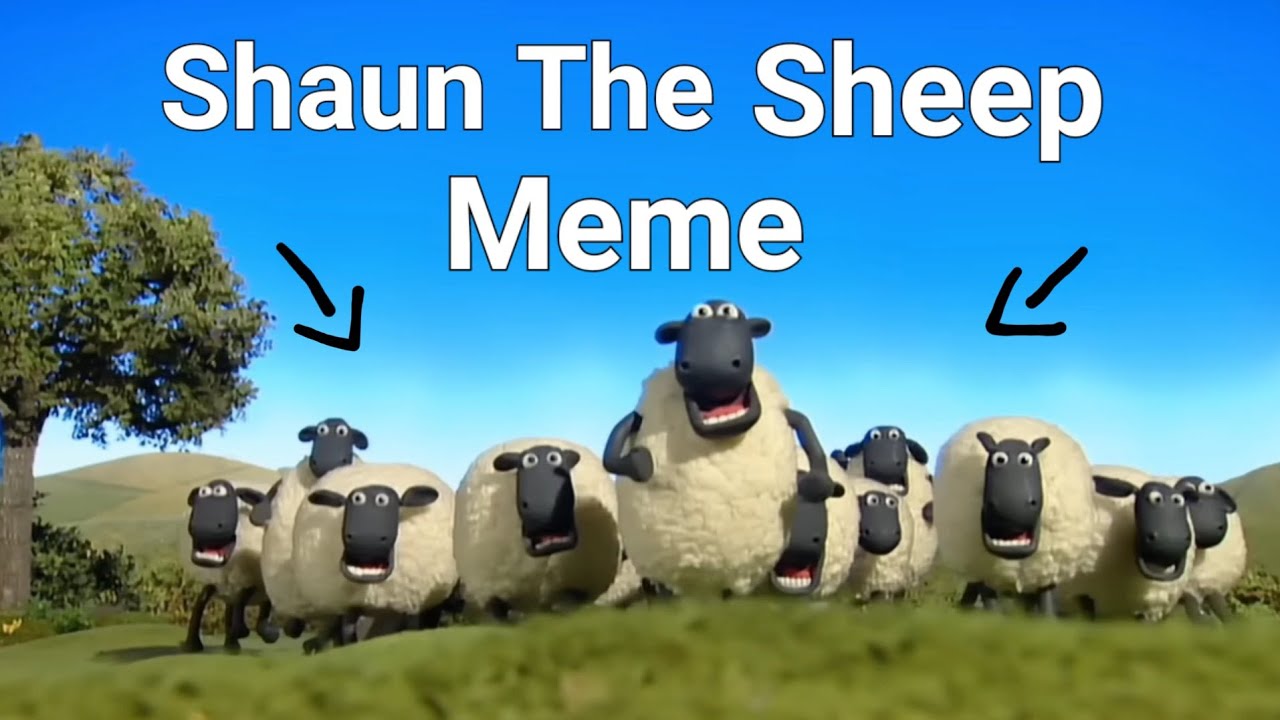 [Shaun the sheep Memes] Chapter 6 - YouTube